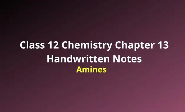 Class 12 Chemistry Amines Notes (Handwritten Notes) - BoardStudy.in