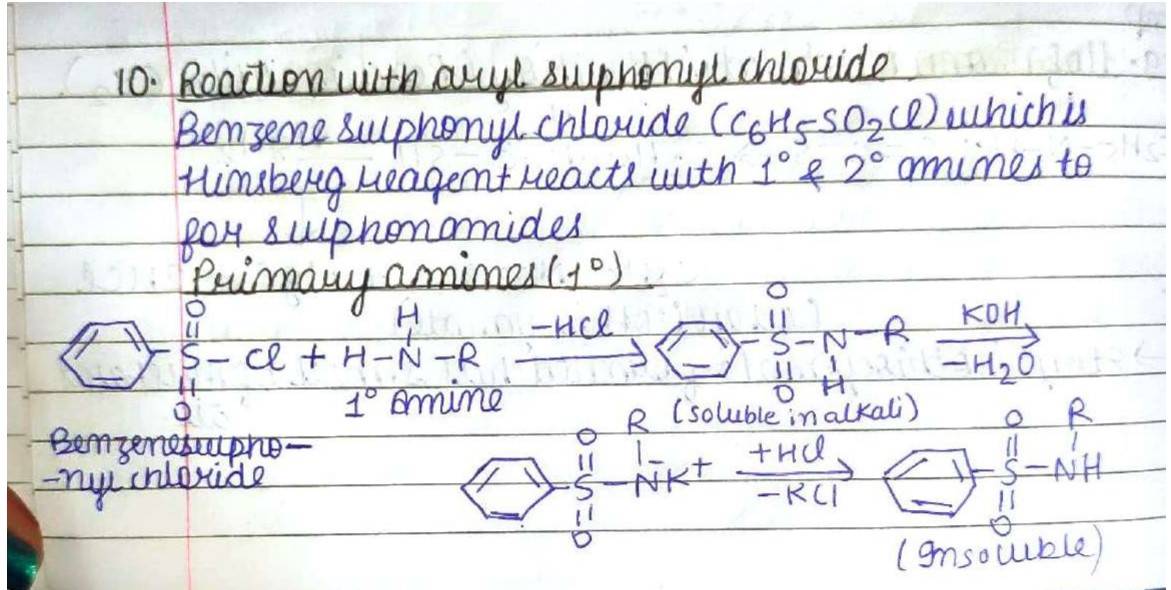 Class 12 Chemistry Chapter 13 Amines Notes (Handwritten Notes) - BoardStudy