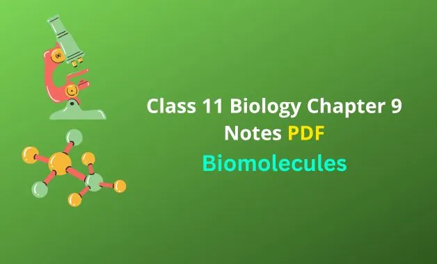 Ncert Class 11 Biology Biomolecules Notes Pdf