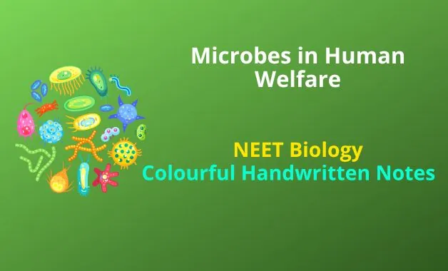 NEET Biology Microbes in Human Welfare Notes PDF (Handwritten Notes ...