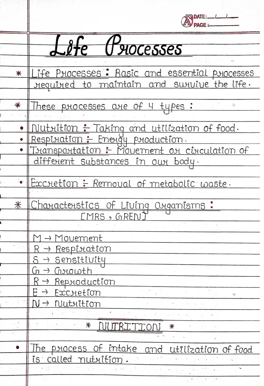 Class 10 Science Notes PDF Download 2025-2026 (Topper's Handwritten ...